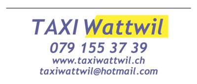 FC Wattwil Bunt 1929